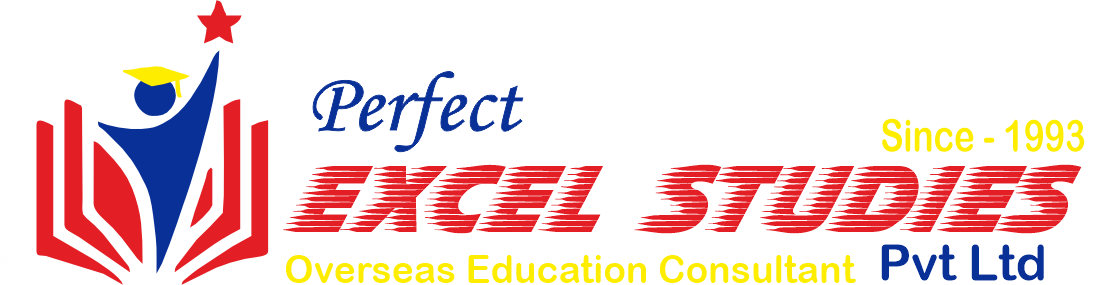 Assessment Form - Perfect Excel Studies